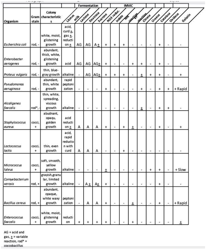 SOLVED: Create a dichotomous key using the chart below for the organism ...