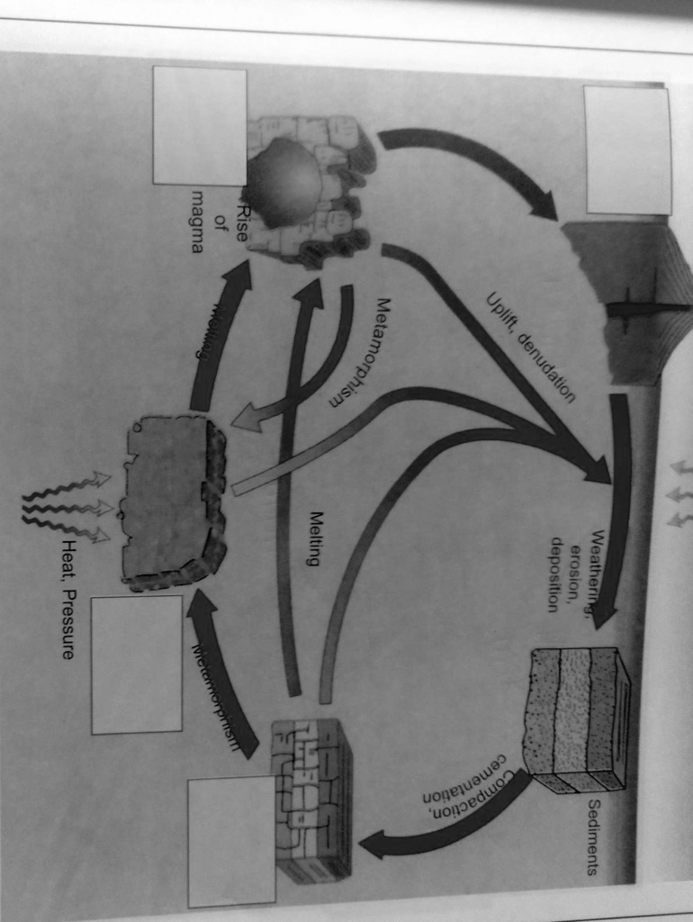 SOLVED: 'the different process of The Rock cycle are shown in the given ...