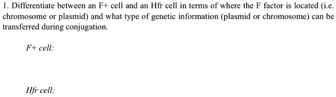 1. Differentiate between an F+ cell and an Hfr cell in terms of where ...