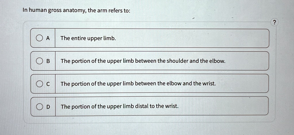 in human gross anatomy the arm refers to a the entire upper limb b the ...