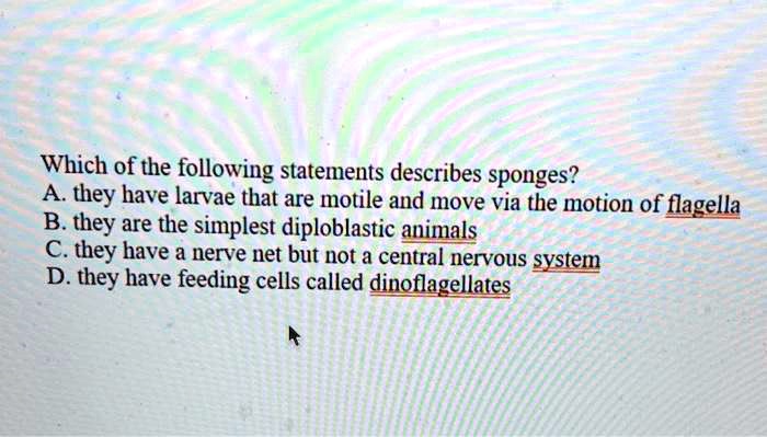 which of the following statements describes sponges a they have larvae ...
