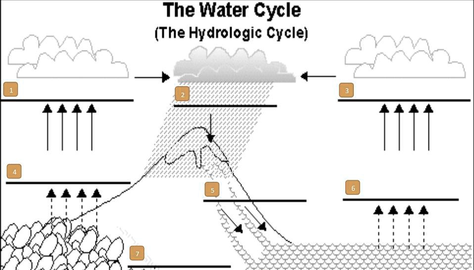SOLVED Fill In The Blanks With The Correct Word For The Water Cycle