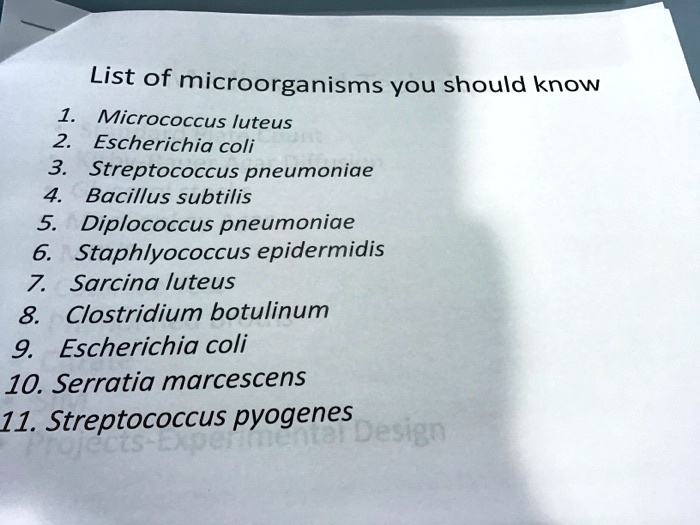 SOLVED: List of microorganisms you should know Micrococcus luteus 2 ...