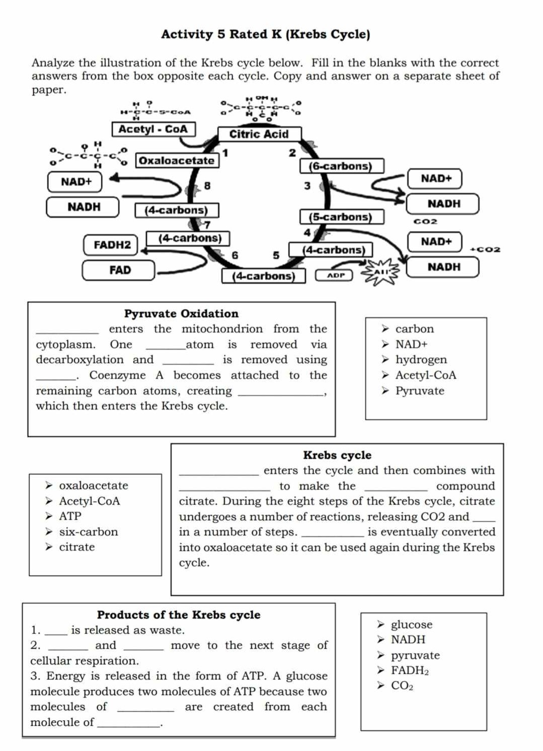 Activity 5 Rated K (Krebs Cycle) Analyze the illustration of the Krebs ...