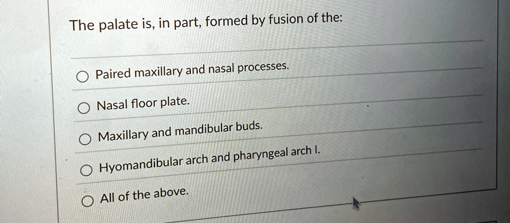 the palate is in part formed by fusion of the paired maxillary and ...