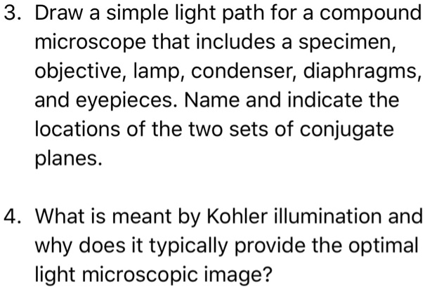 SOLVED: 3 Draw a simple light path for a compound microscope that ...