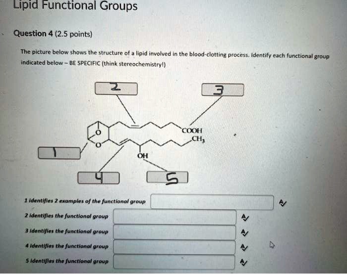 Lipid Functional Groups Question 4 (2.5 points) The picture below shows ...