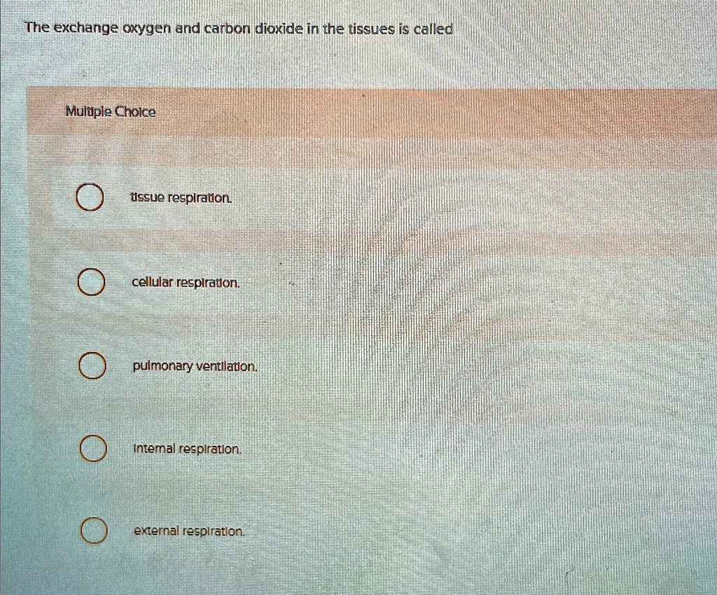 the exchange of oxygen and carbon dioxide in the tissues is called ...