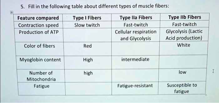 SOLVED: Fill in the following table about different types of muscle ...