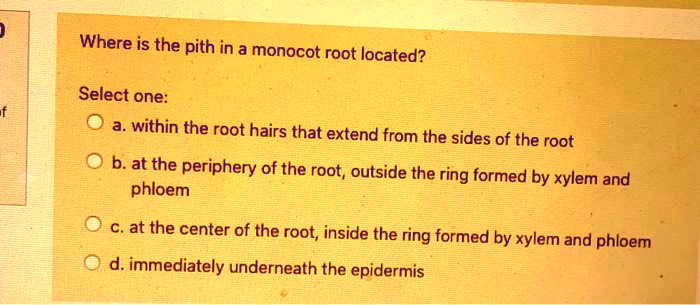 SOLVED: Where is the pith in a monocot root located? Select one ...