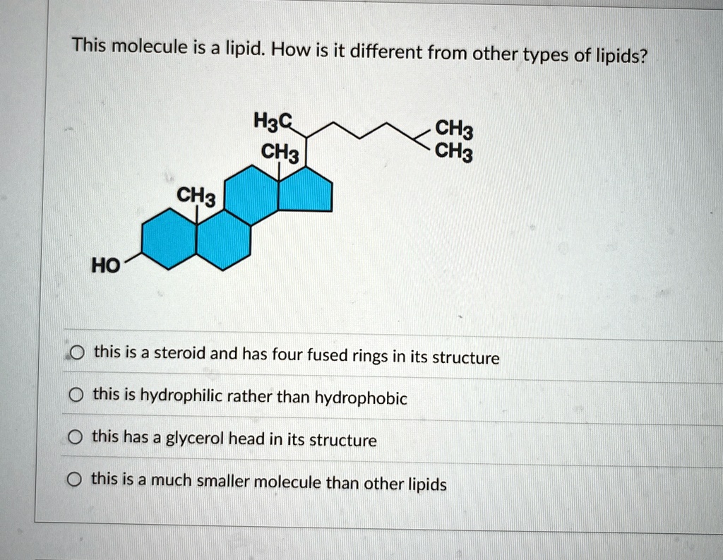 this molecule is a lipid how is it different from other types of lipids ...