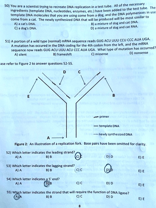 SOLVED: 50) You tube All of the necessary scientist trying recreate DNA ...
