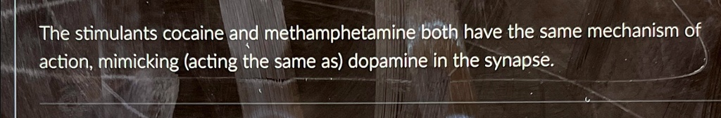 The stimulants cocaine and methamphetamine both have the same mechanism ...