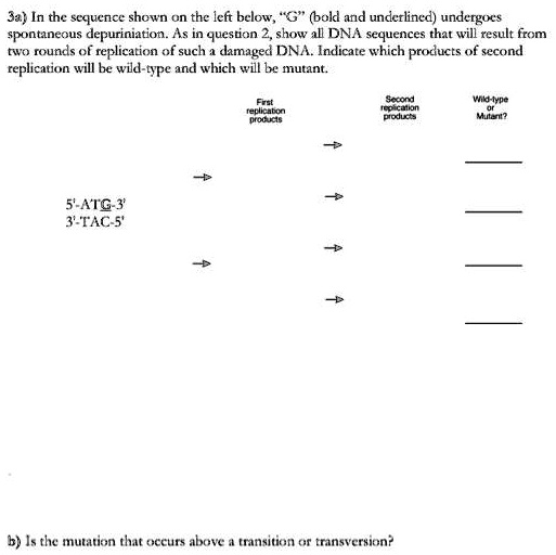 SOLVED: 3a In the sequence shown on the left below, G" (bold and ...