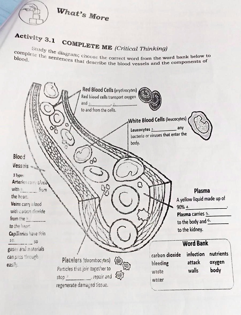 SOLVED: 'What's MoreActivity 3.1 COMPLETE ME (Critical Thinking)Study ...