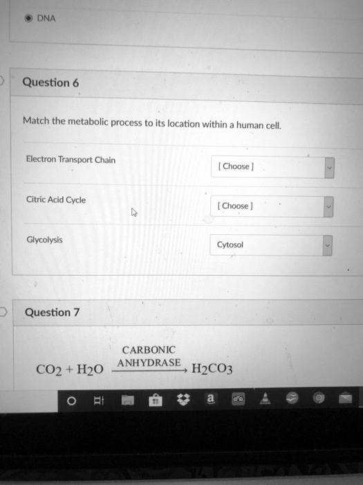 SOLVED: Question 6 Match the metabolic process to its location within a ...