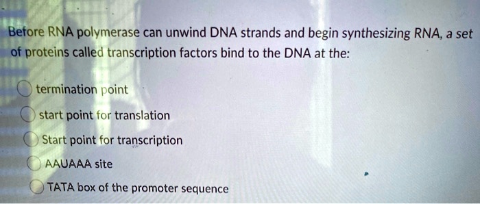 SOLVED: Before RNA polymerase can unwind DNA strands and begin ...