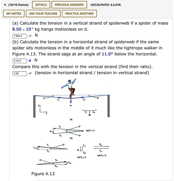 SOLVED: (a) Calculate the tension in a vertical strand of spiderweb if ...