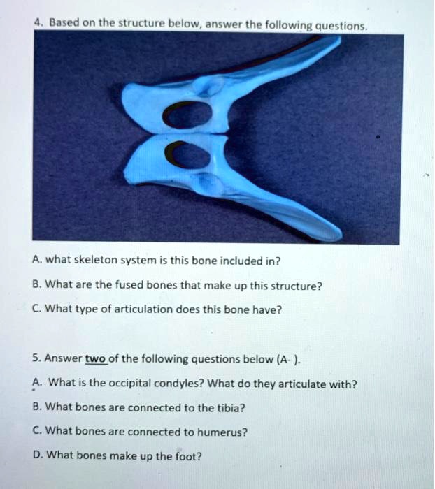 based on the structure below answer the following questions what ...