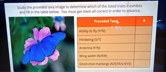 SOLVED: Study the provided taxa image to determine which of the listed ... SOLVED: Study the provided taxa image to determine which of the listed ...