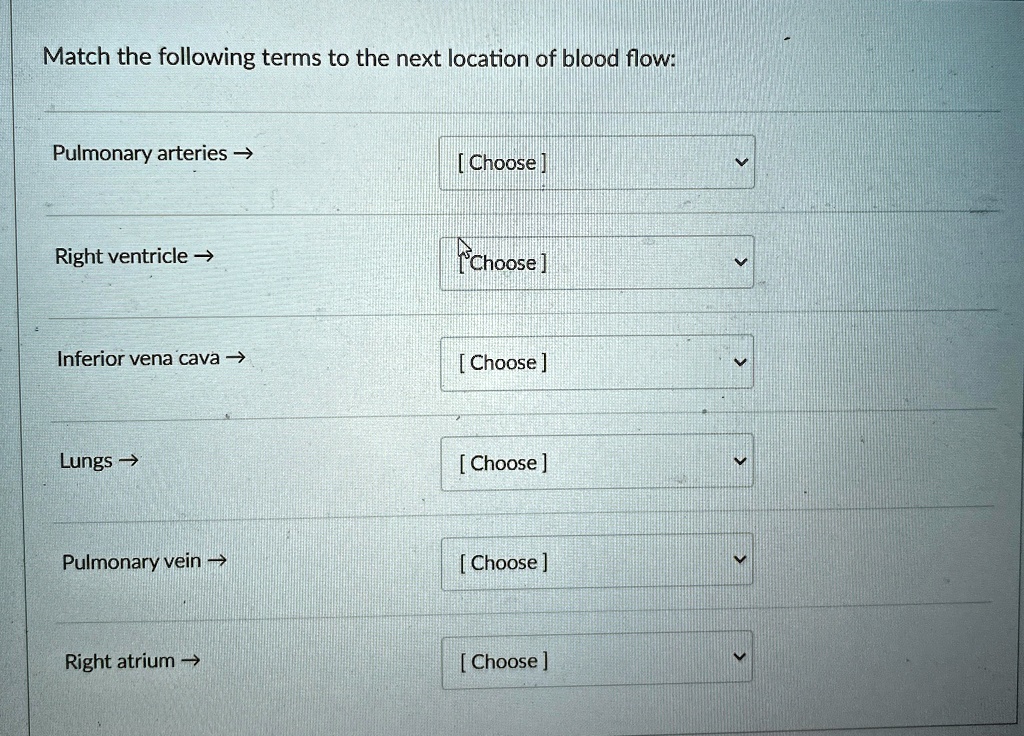 match the following terms to the next location of blood flow pulmonary ...