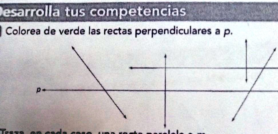 colorea de verde las rectas perpendiculares a p ayuda es para hoy ...