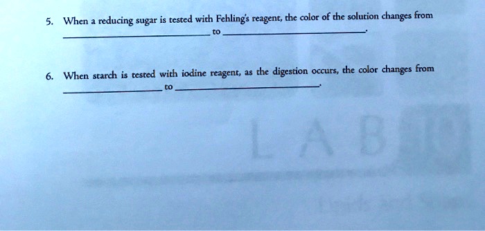 SOLVED: When reducing sugar is tested with Fehlings reagent; the color ...