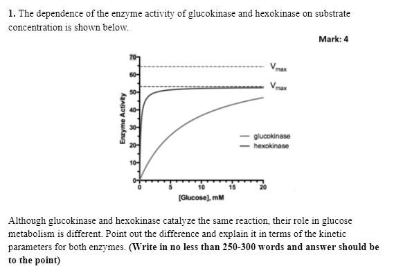 VIDEO solution: The dependence of the enzyme activity of glucokinase ...