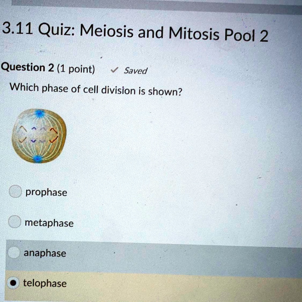 SOLVED: 'Please help Ignore the dot. 10 points 3.11 Quiz: Meiosis and ...