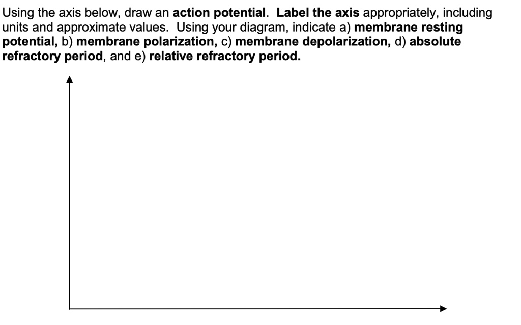 using the axis below draw an action potential label the axis ...