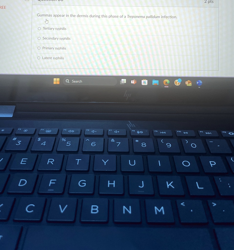 gummas appear in the dermis during this phase of a treponema pallidum ...