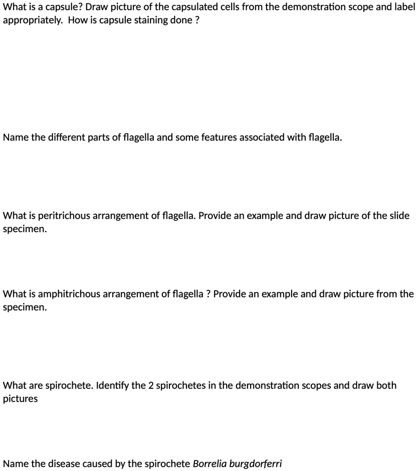 What is a capsule? Draw picture of the capsulated cells from the ...