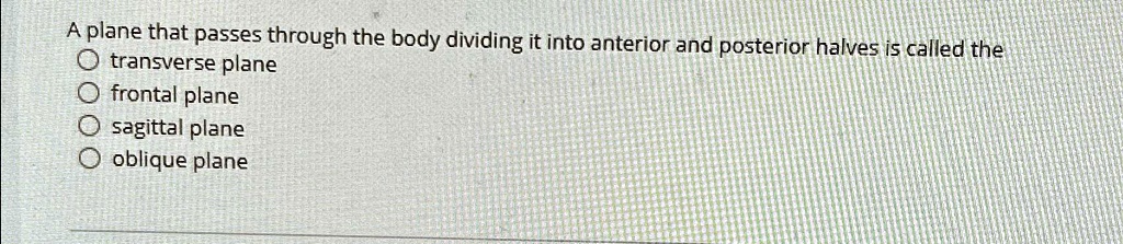SOLVED: A plane that passes through the body dividing it into anterior ...