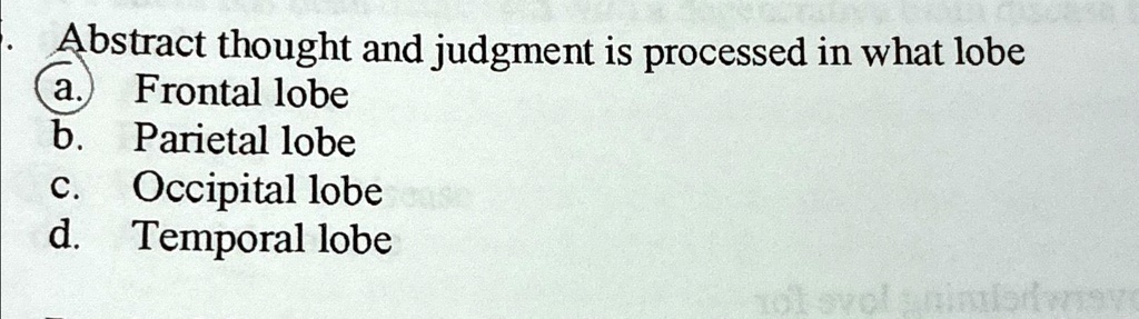 SOLVED: Abstract thought and judgment is processed in what lobe (a ...