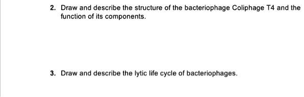 draw and describe the structure of the bacteriophage coliphage t4 and ...