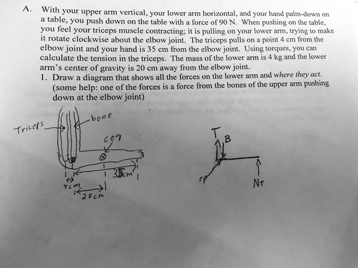 A. With your upper arm vertical, your lower arm horizontal, and your ...