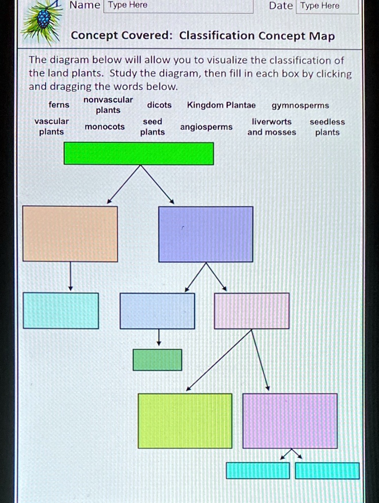 SOLVED: 'Name Type Here Date Type Here Concept Covered: Classification ... SOLVED: 'Name Type Here Date Type Here Concept Covered: Classification ...