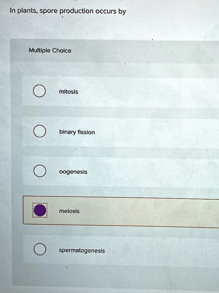 in plants spore production occurs by multiple choice mitosis binary ...
