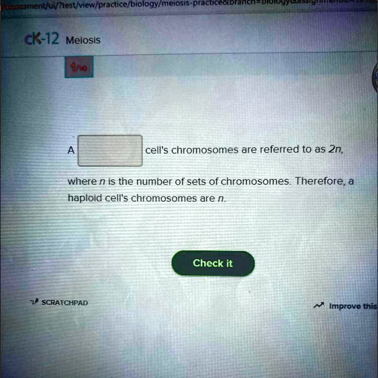 A cell's chromosomes are referred to as 2n, where n is the number of ...