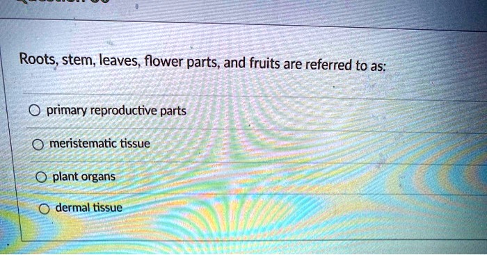 SOLVED: Roots, stem, leaves, flower parts, and fruits are referred to ...