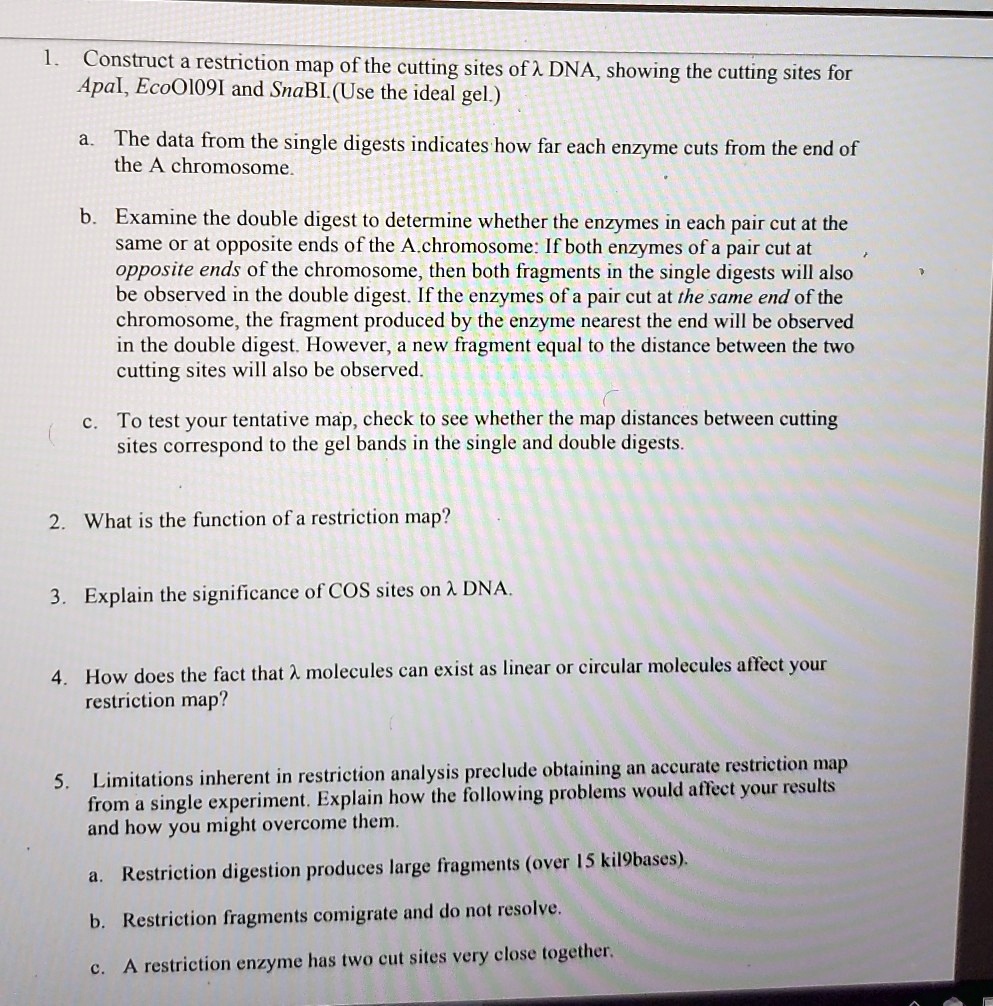 construct a restriction map of the cutting sites of a dna showing the ...