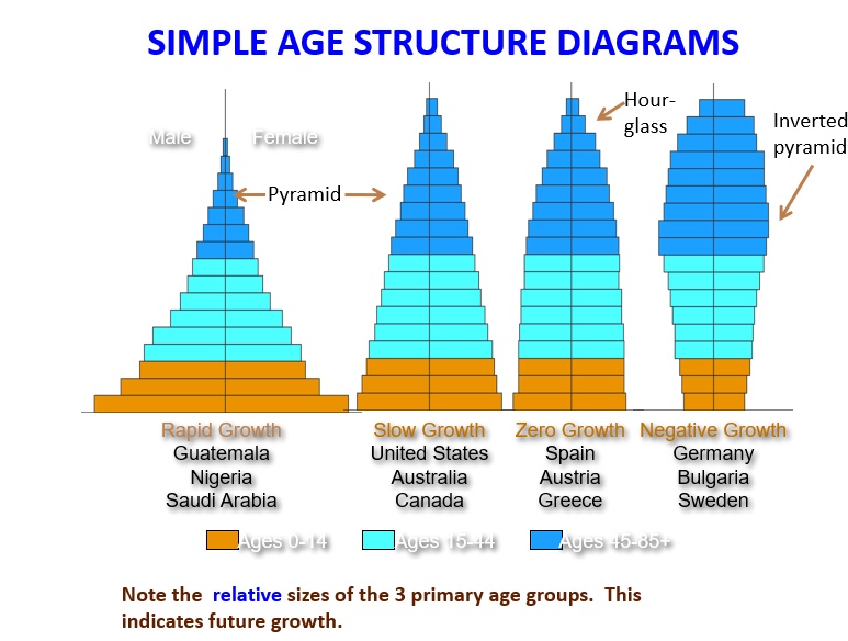 SIMPLE AGE STRUCTURE DIAGRAMS Male Female Pyramid Hour-glass Inverted ...