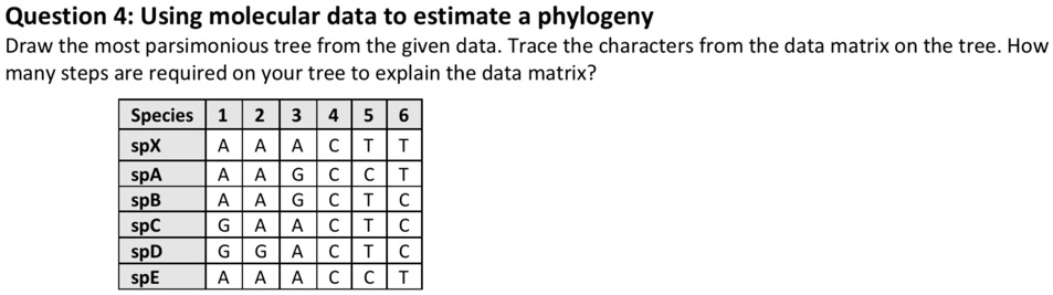 SOLVED: Question 4: Using molecular data to estimate a phylogeny Draw ...