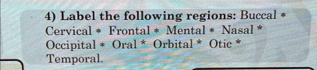 4) Label the following regions: Buccal * Cervical * Frontal * Mental ...