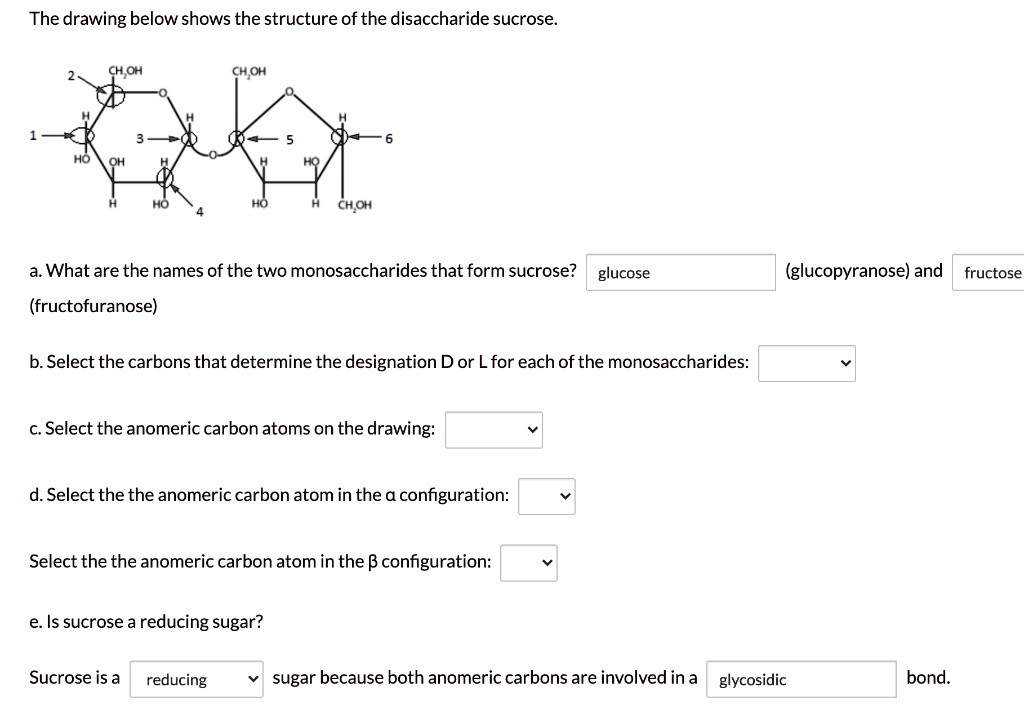 SOLVED: The drawing below shows the structure of the disaccharide ...