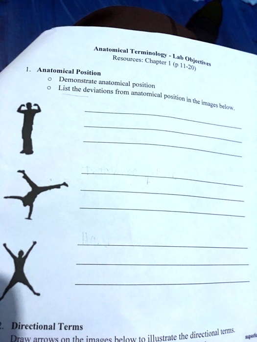 SOLVED: Resources: Chapter I (p 11-20) 1.Anatomical Position o ...