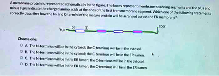 SOLVED: A membrane protein is represented schematically in the figure ...
