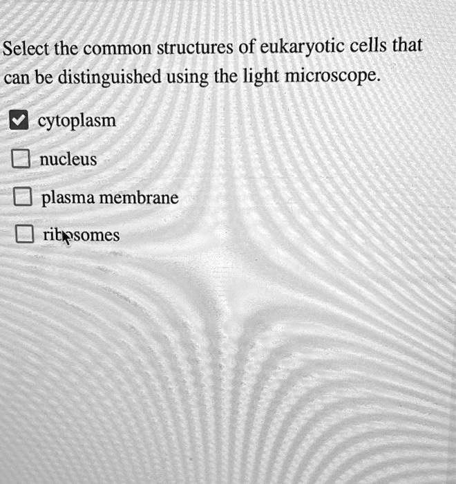 Select the common structures of eukaryotic cells that can be ...