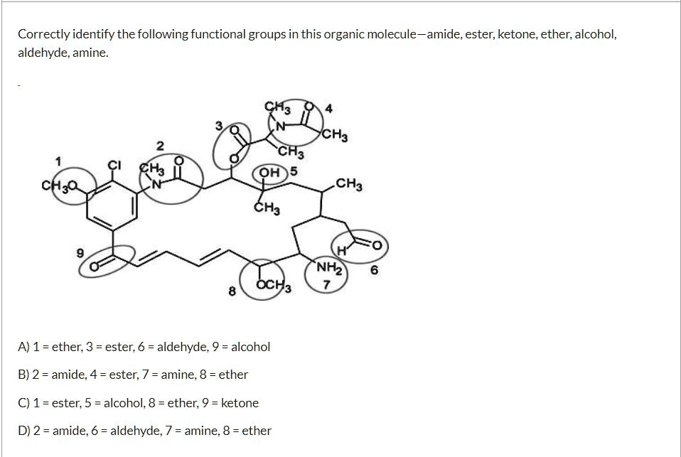 Text: Correctly identify the following functional groups in this organic molecule - amide; ester ...