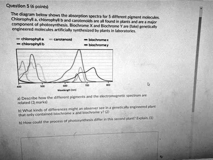 SOLVED: Question 5 (6 points) The diagram below shows the absorption ...